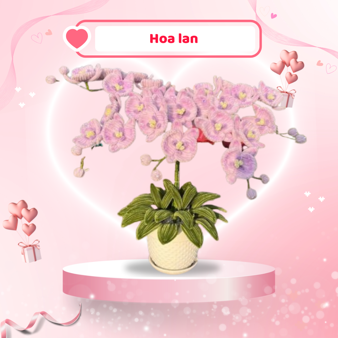 CHẬU HOA LAN HANDMADE KẼM NHUNG 2025 - Milcah